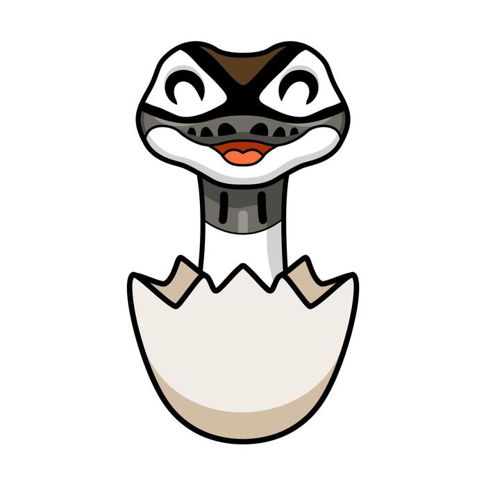 Monty Python Vector Art, Icons, and Graphics for Free Download