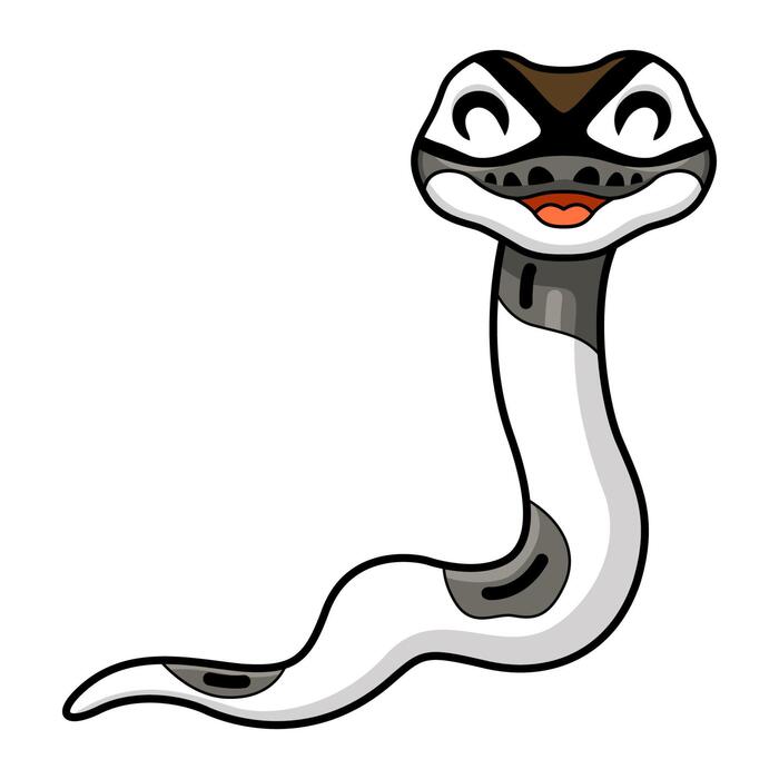 Page 3 | Ball Python Vector Art, Icons, and Graphics for Free Download