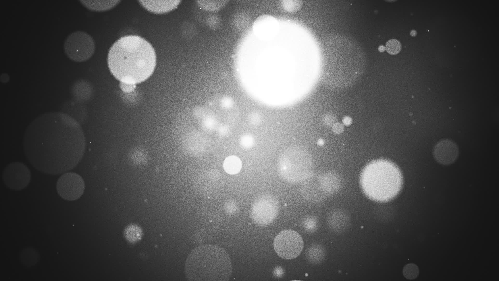 Abstract grayscale bokeh particles background with added grain. Looping, full HD motion ...