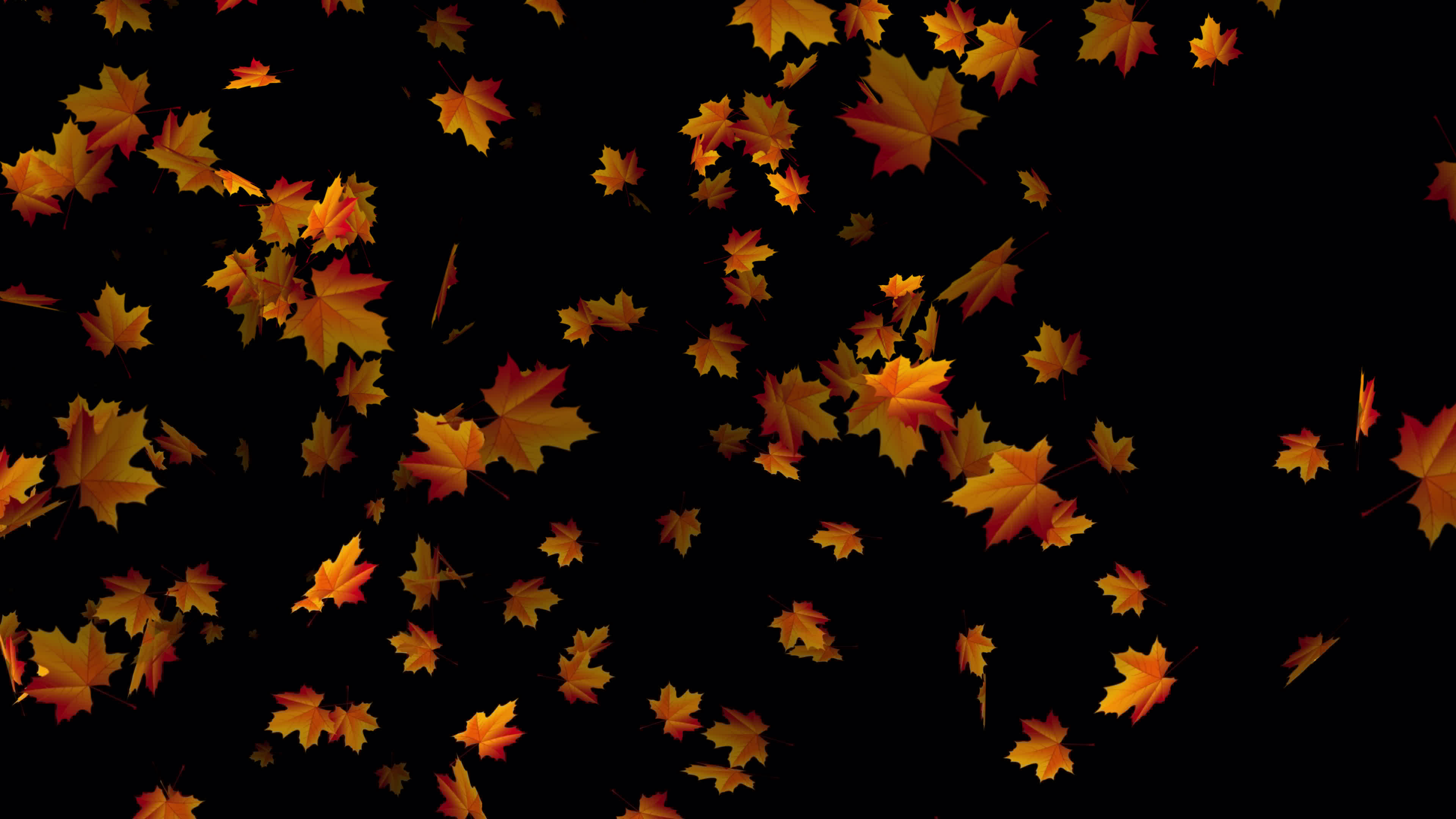 Fall Leaves Falling Animation