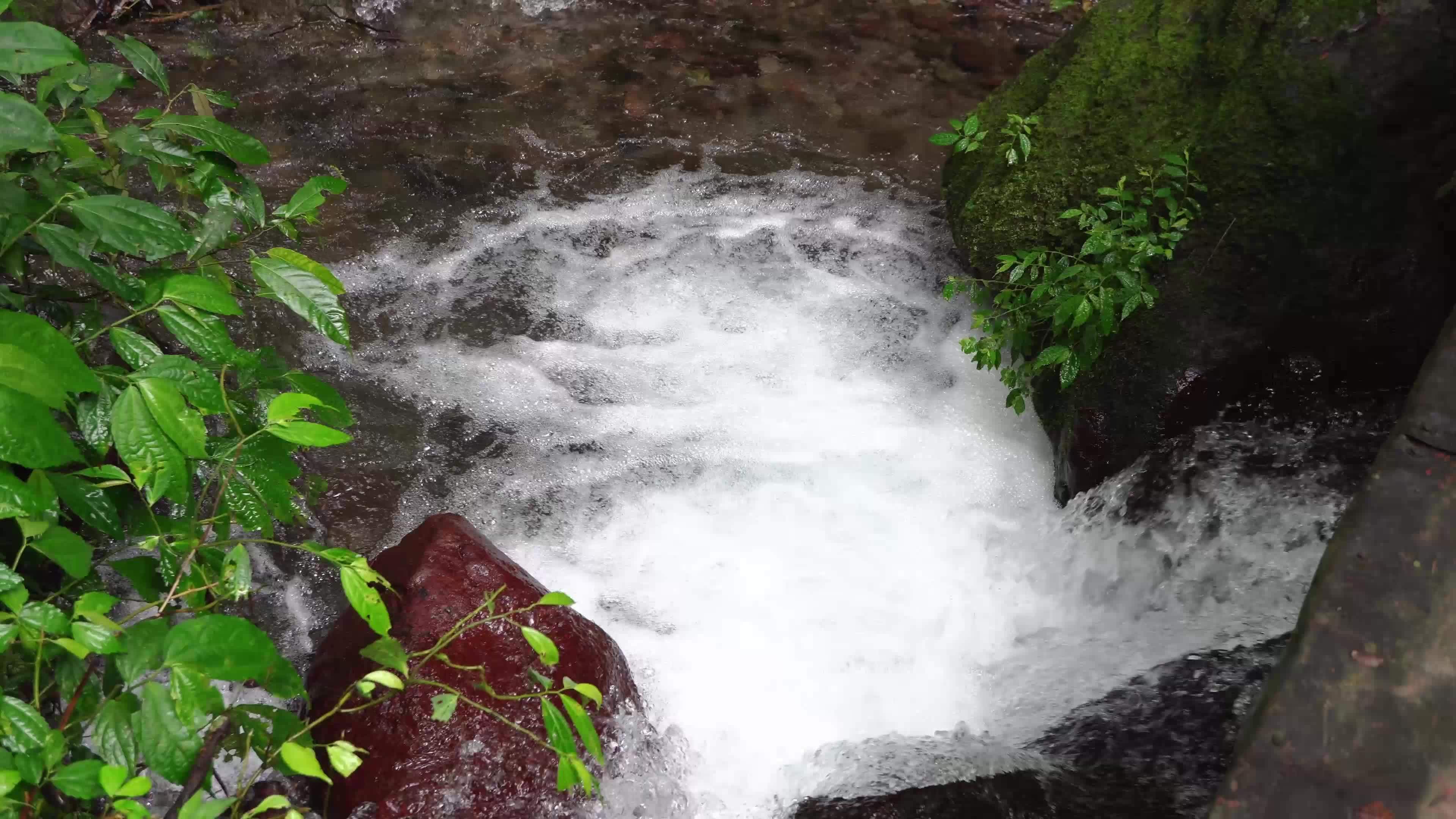 Footage of small water fall on tropical forest. Water flowing through ...