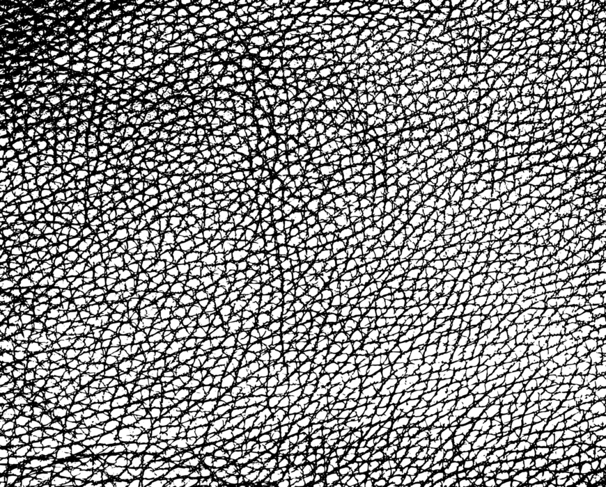 Skin Texture PNGs for Free Download