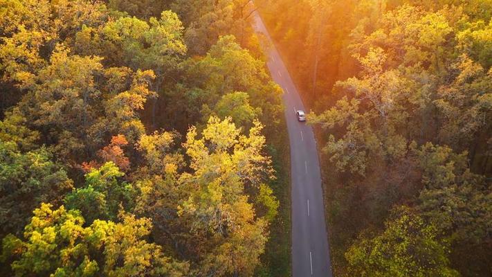 Download Free HD and 4K Stock Video, Footage, & Clips