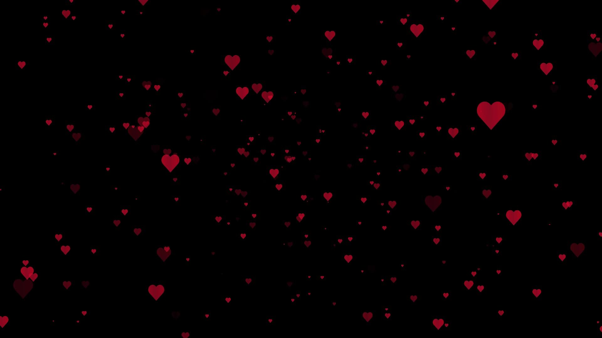 Animated particle of Valentine concept love heart effect videos on black background,motion ...