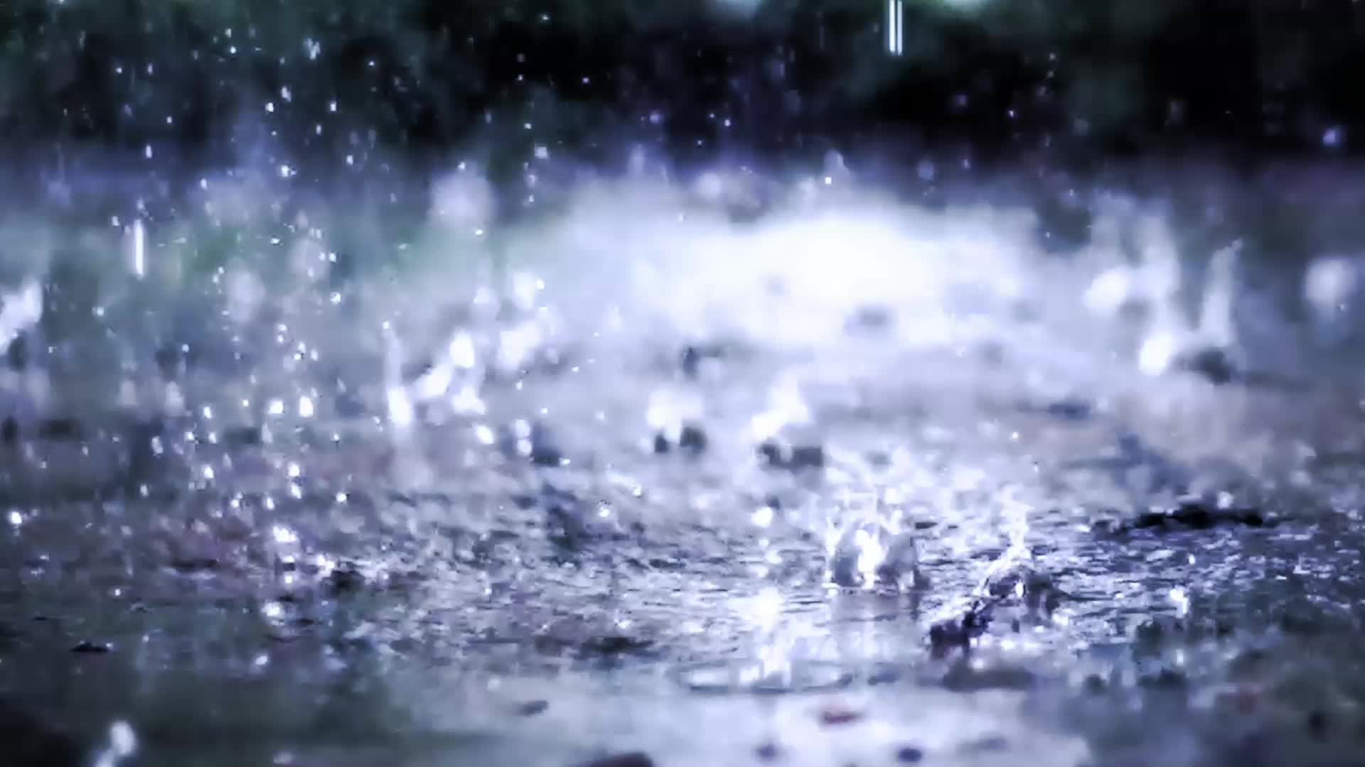 Rain Motion Stock Video Footage for Free Download Rain Motion Stock Video Footage for Free Download