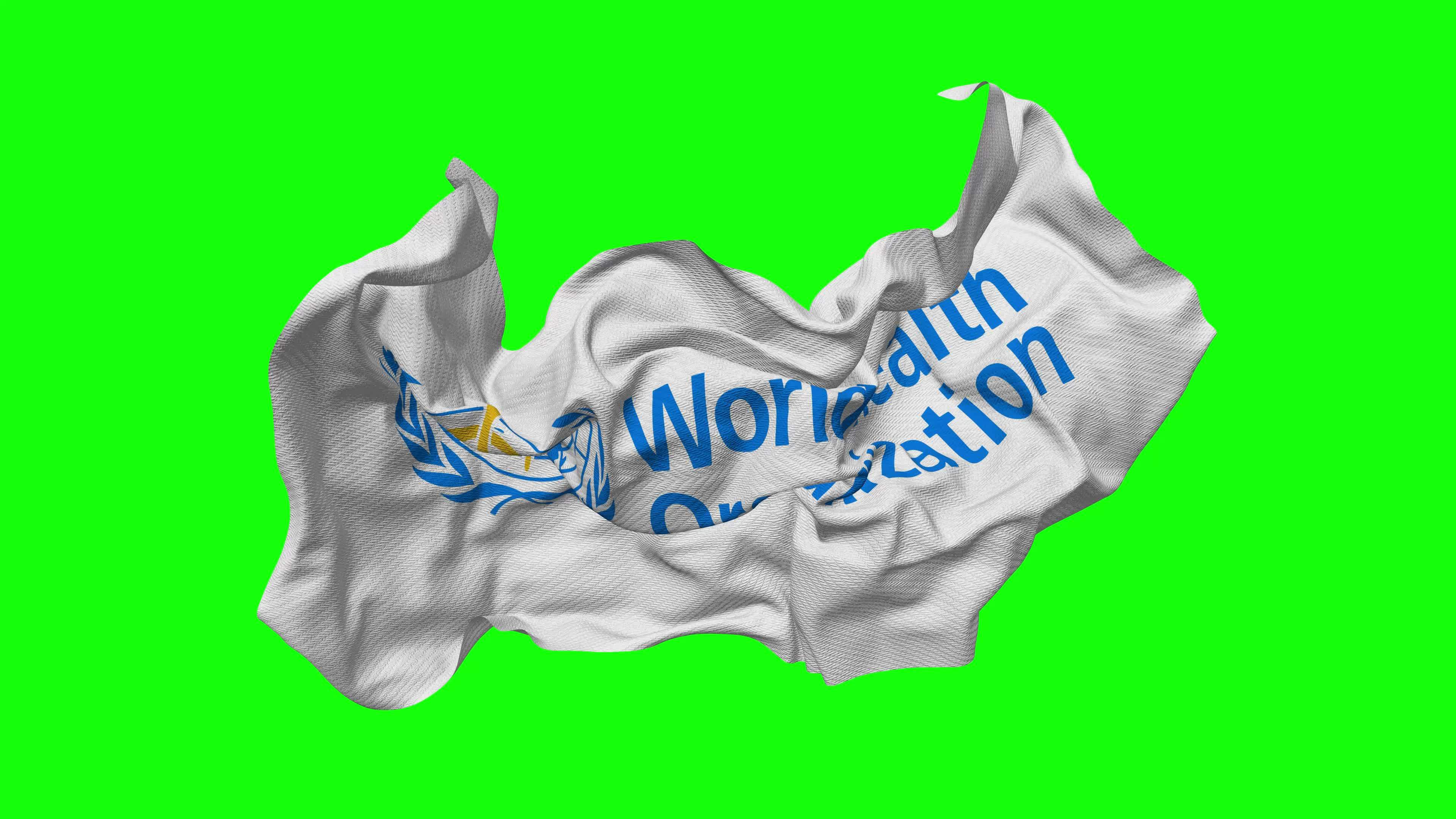 World Health Organization Who Flag Seamless Looping Flying In Wind