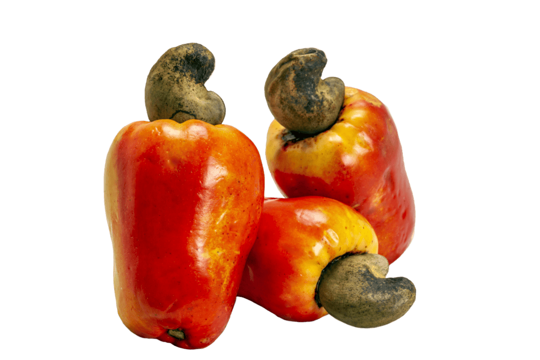 Cashew PNGs for Free Download