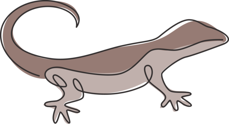 Lizard Pngs For Free Download