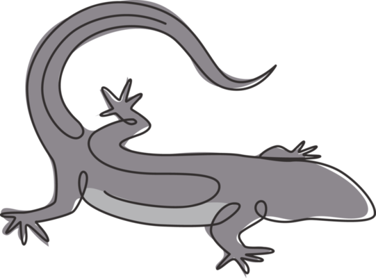 Lizard Pngs For Free Download