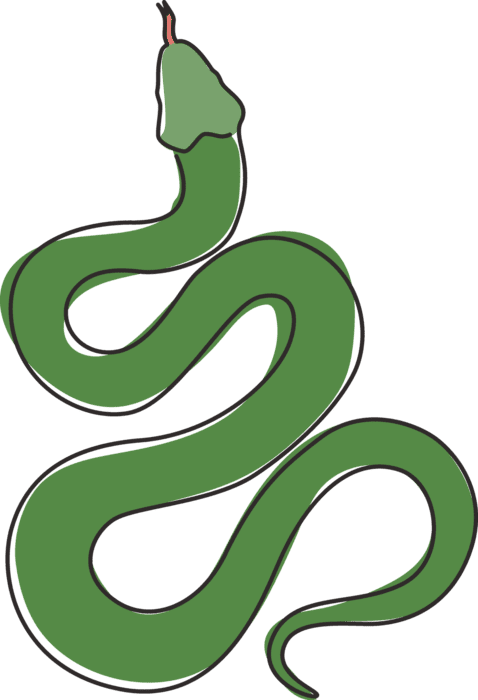 Python Logo PNG para descargar gratis