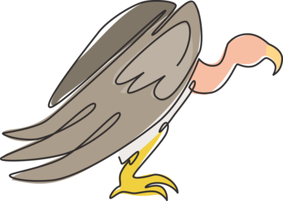 Bird Cartoon Pngs For Free Download