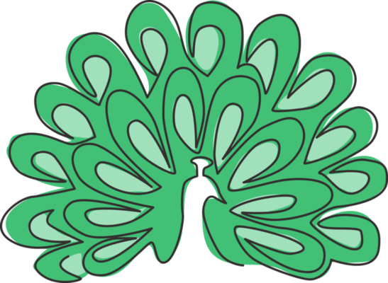 Peacock Logo Pngs For Free Download
