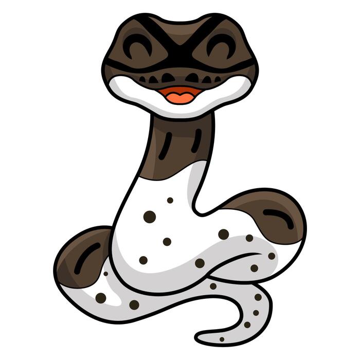 Page 3 | Ball Python Vector Art, Icons, and Graphics for Free Download