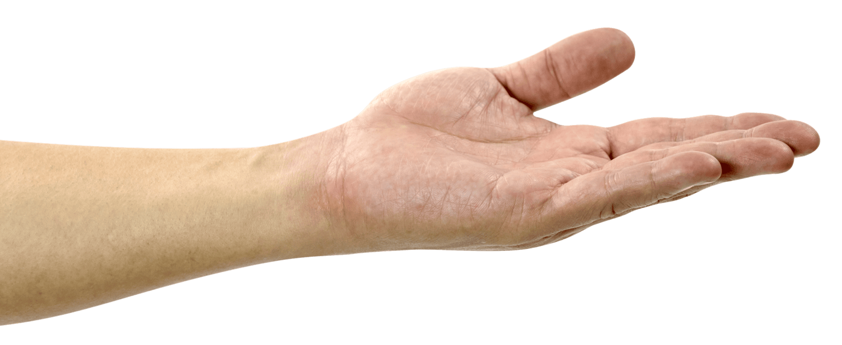 Open Palm PNGs for Free Download