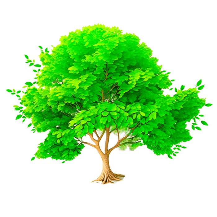 Growing Tree Animation PNGs for Free Download