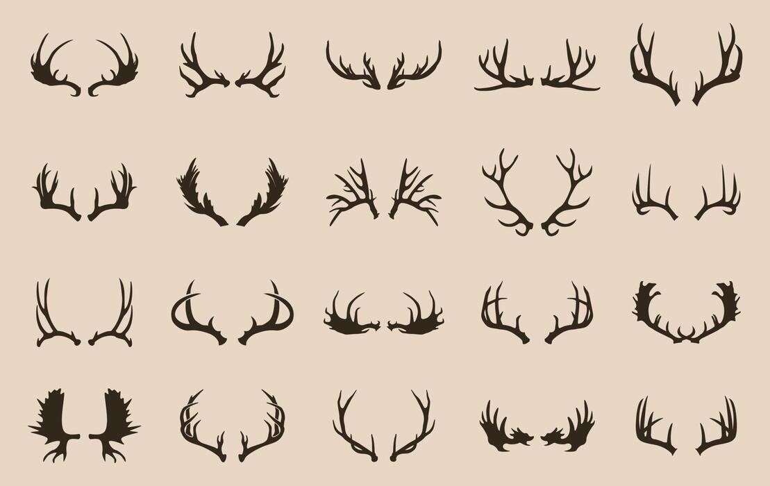 Antlers Vector Art, Icons, and Graphics for Free Download