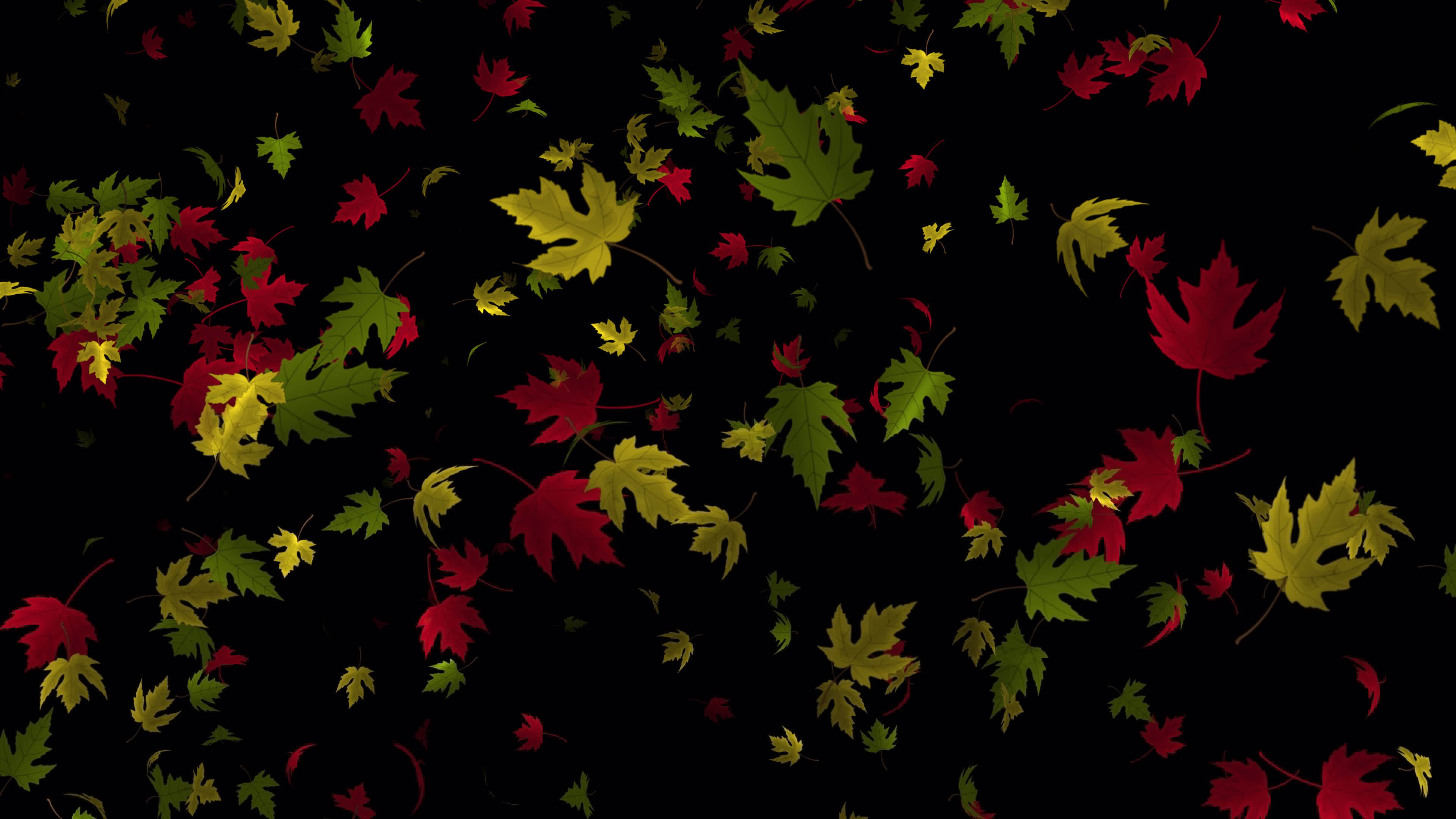 Leaves falling animation for background video, Transparent animation with leaves in 4k Ultra HD ...