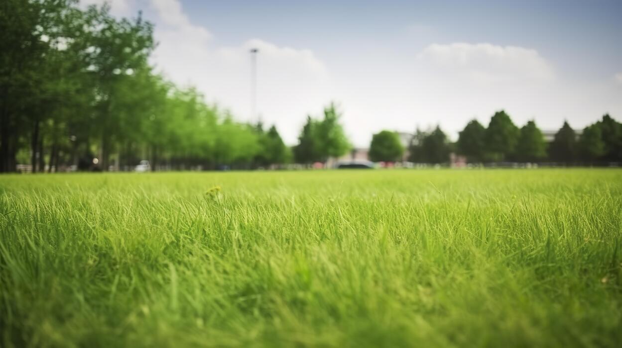 Grass And Trees Background Stock Photos, Images and Backgrounds for ...