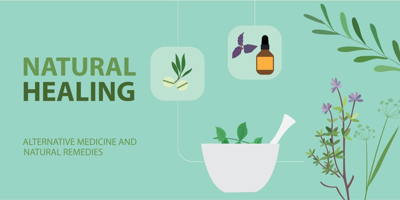 Plantas Medicinales Vectores, Iconos, Gráficos y Fondos para Descargar ...