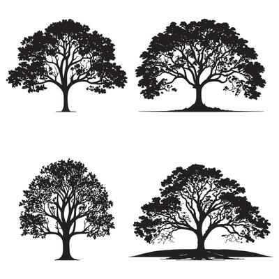 Tree Silhouette Vector Art, Icons, and Graphics for Free Download
