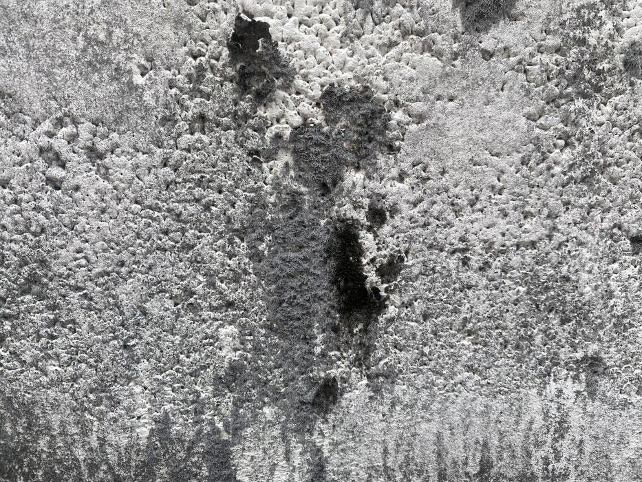 Frozen Texture Stock Photos, Images and Backgrounds for Free Download