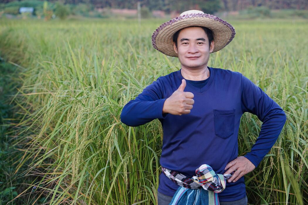 Thai Farmer Stock Photos, Images and Backgrounds for Free Download