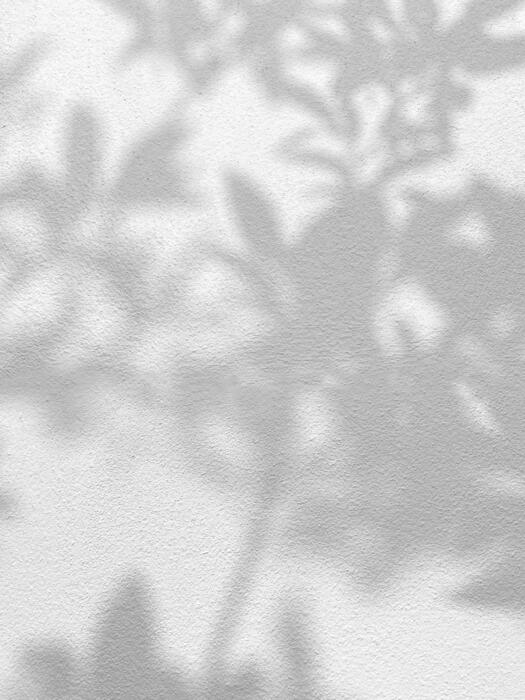 Leaf Shadow Background Stock Photos, Images and Backgrounds for Free ...