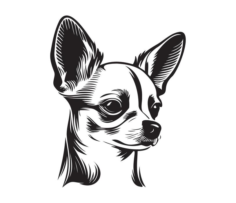 Chihuahua Silhouette Vector Art, Icons, and Graphics for Free Download