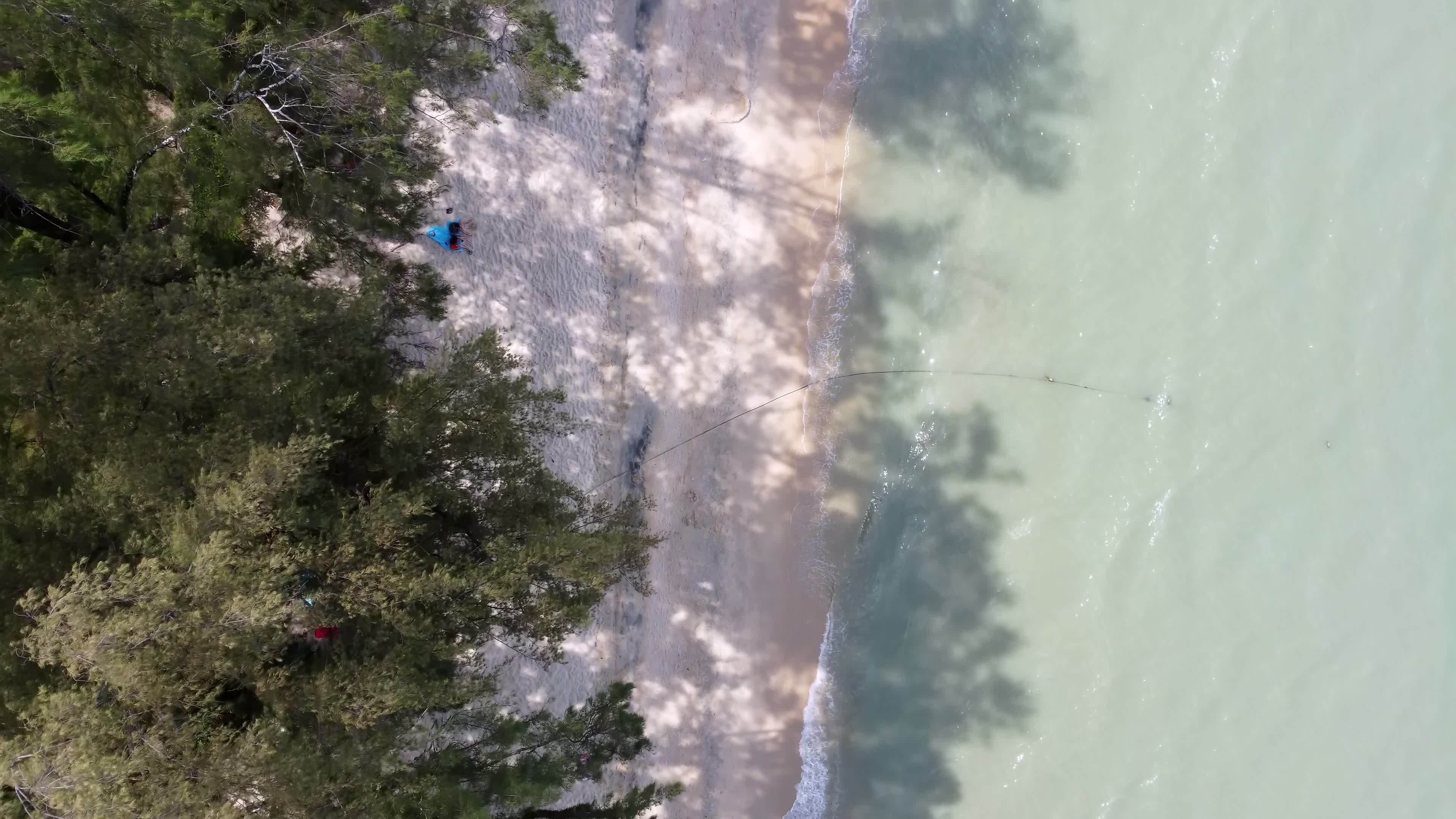 Aerial top down view fly over pine tree and beauty shadow 22935556 ... Aerial top down view fly over pine tree and beauty shadow 22935556 ...
