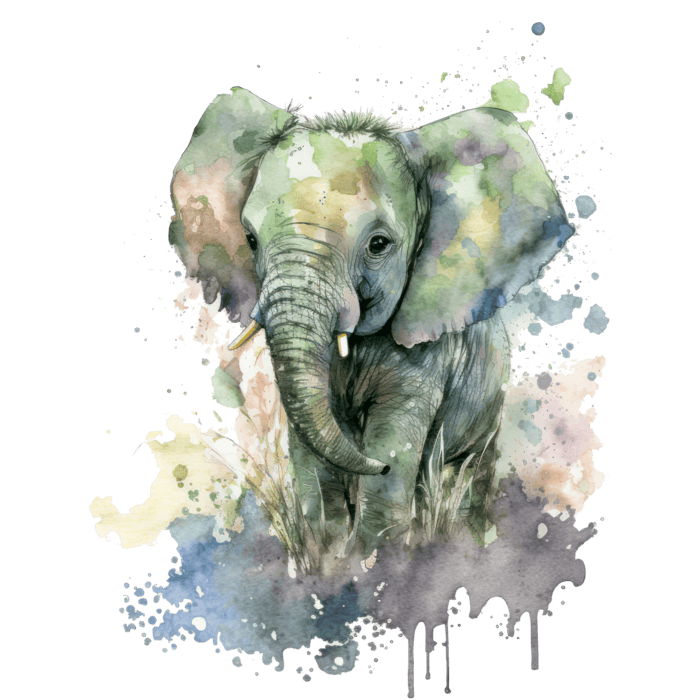 Watercolor Elephant PNGs for Free Download