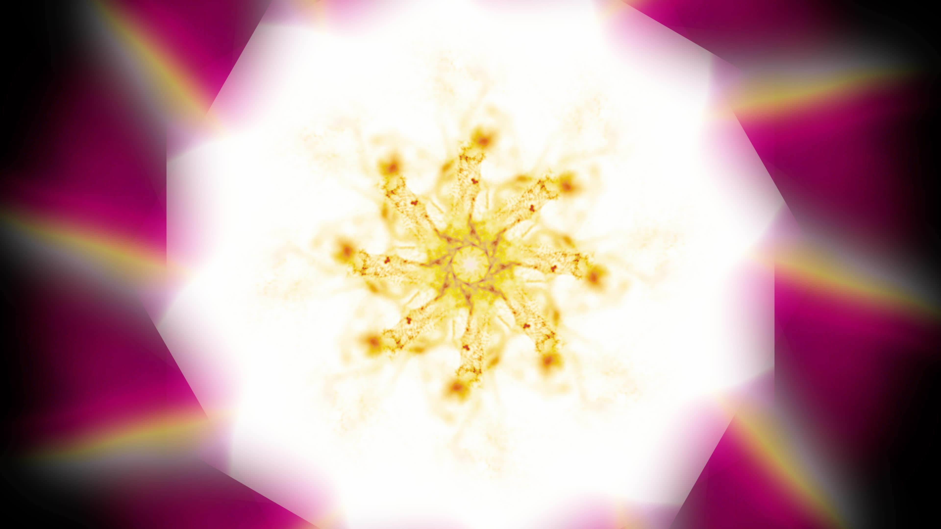 Sacred Geometry The Flower of Life - Loop 22959699 Stock Video at Vecteezy Sacred Geometry The Flower of Life - Loop 22959699 Stock Video at Vecteezy