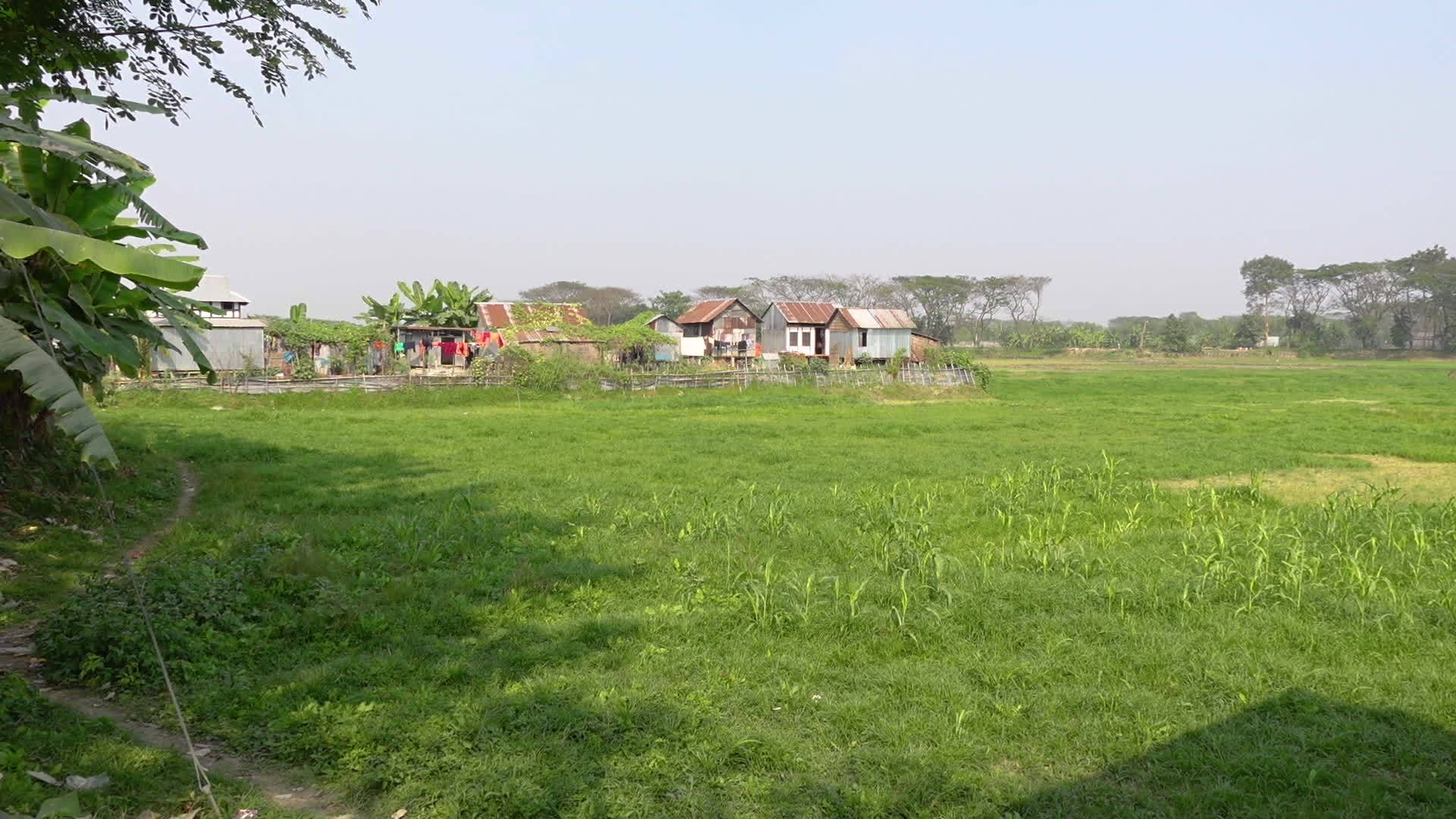 Landscape view of traditional tin-wood village houses next to green fields at Munshiganj ...