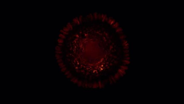 Page 2 | Shockwave Stock Video Footage for Free Download