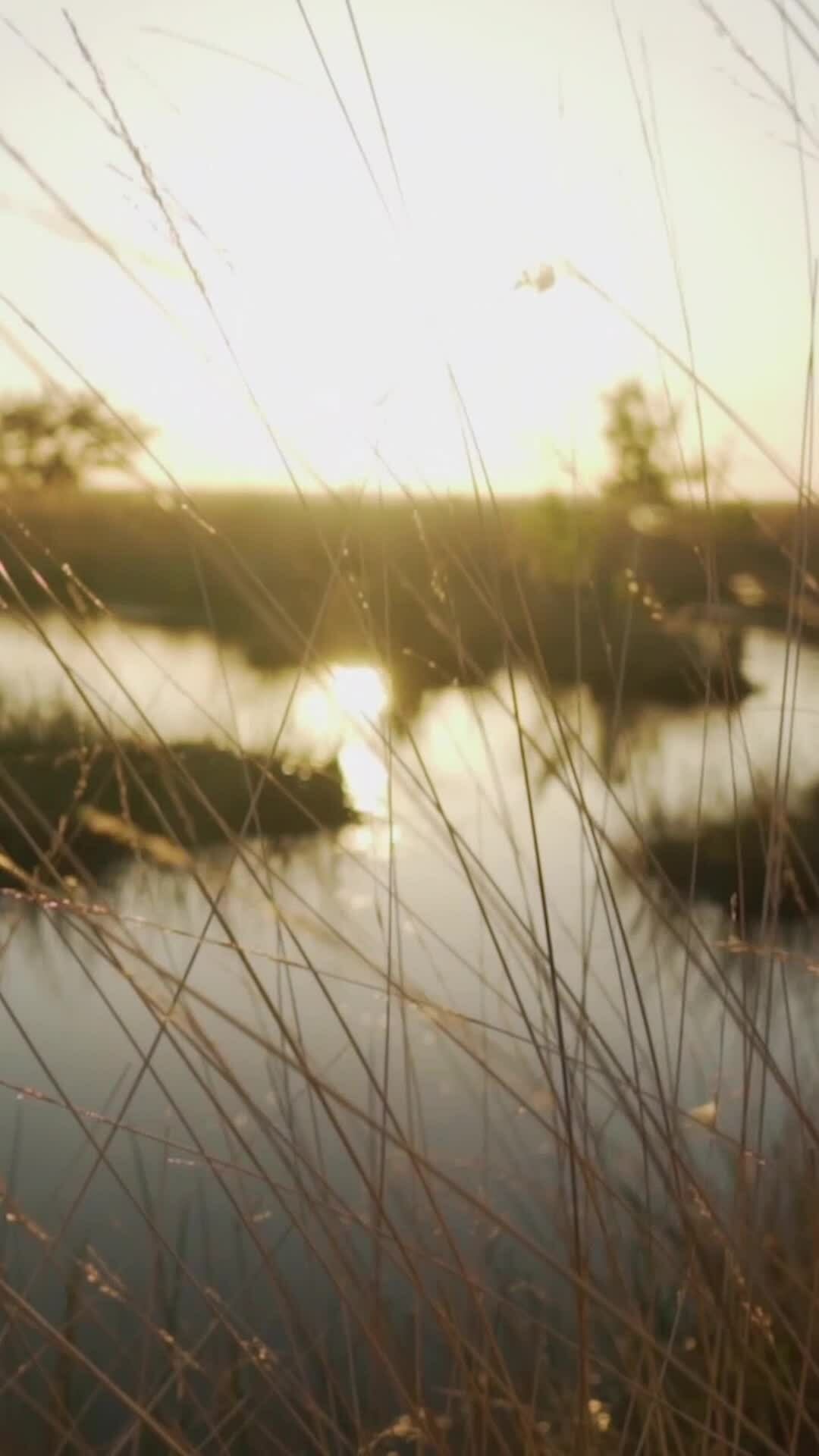 Sun light shines through trees in scenic landscape 23156765 Stock Video ...