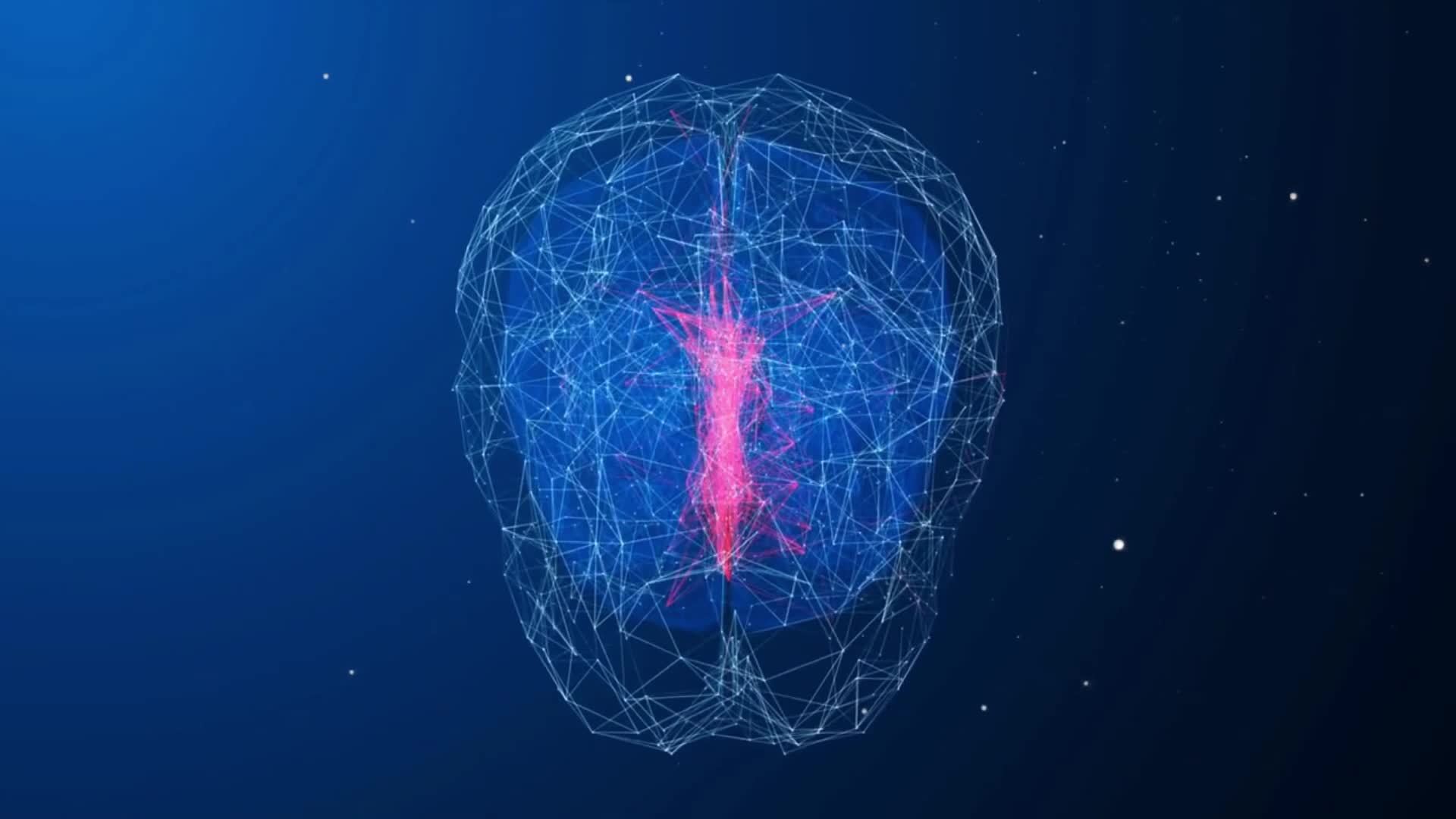 Synapse Animation
