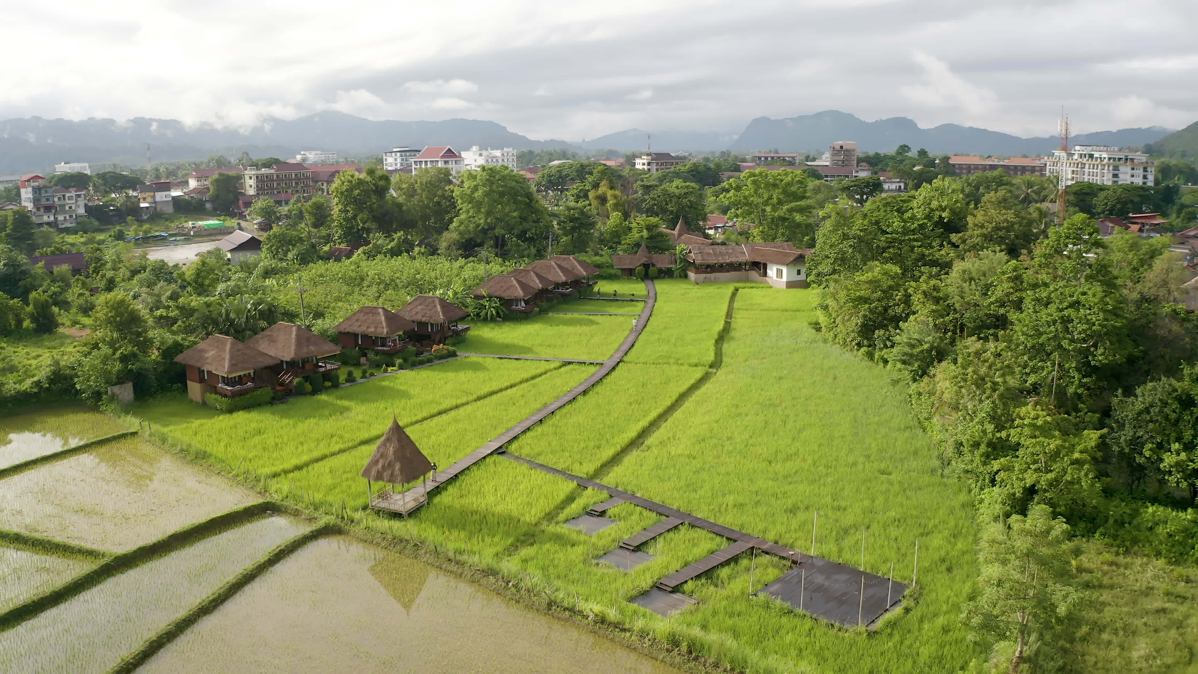 4k Video shot aerial view by drone. Wooden path and green rice field in Vang Vieng, Laos ...
