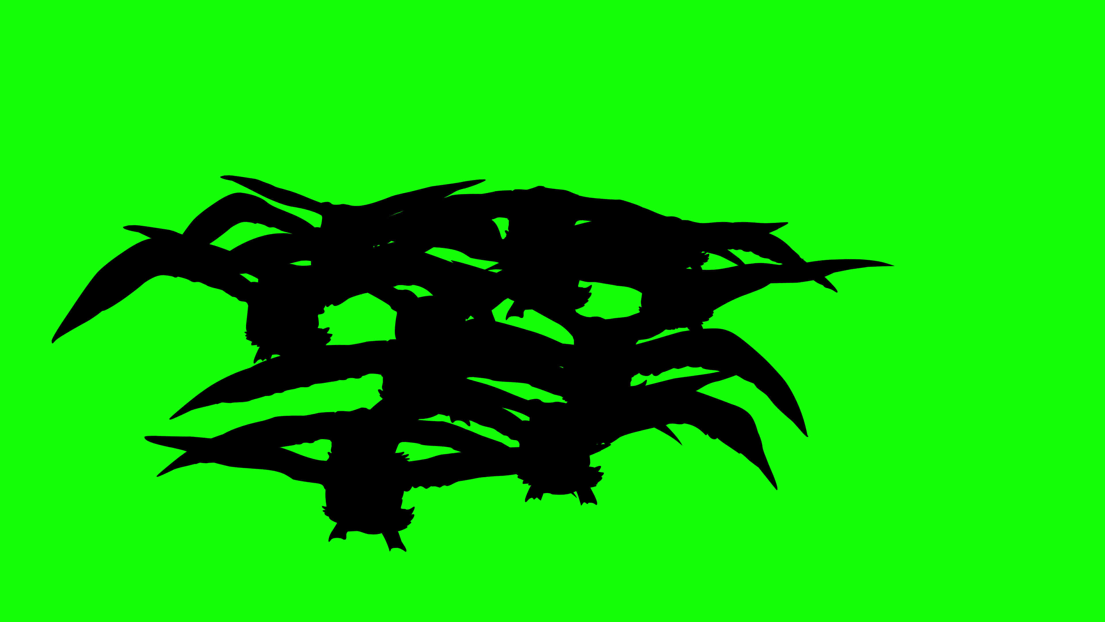 halloween bat flying Flock of Black crows loop motion graphics video ... halloween bat flying Flock of Black crows loop motion graphics video ...