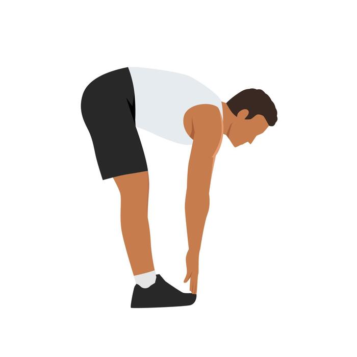 Hamstring Stretch Vector Art, Icons, and Graphics for Free Download