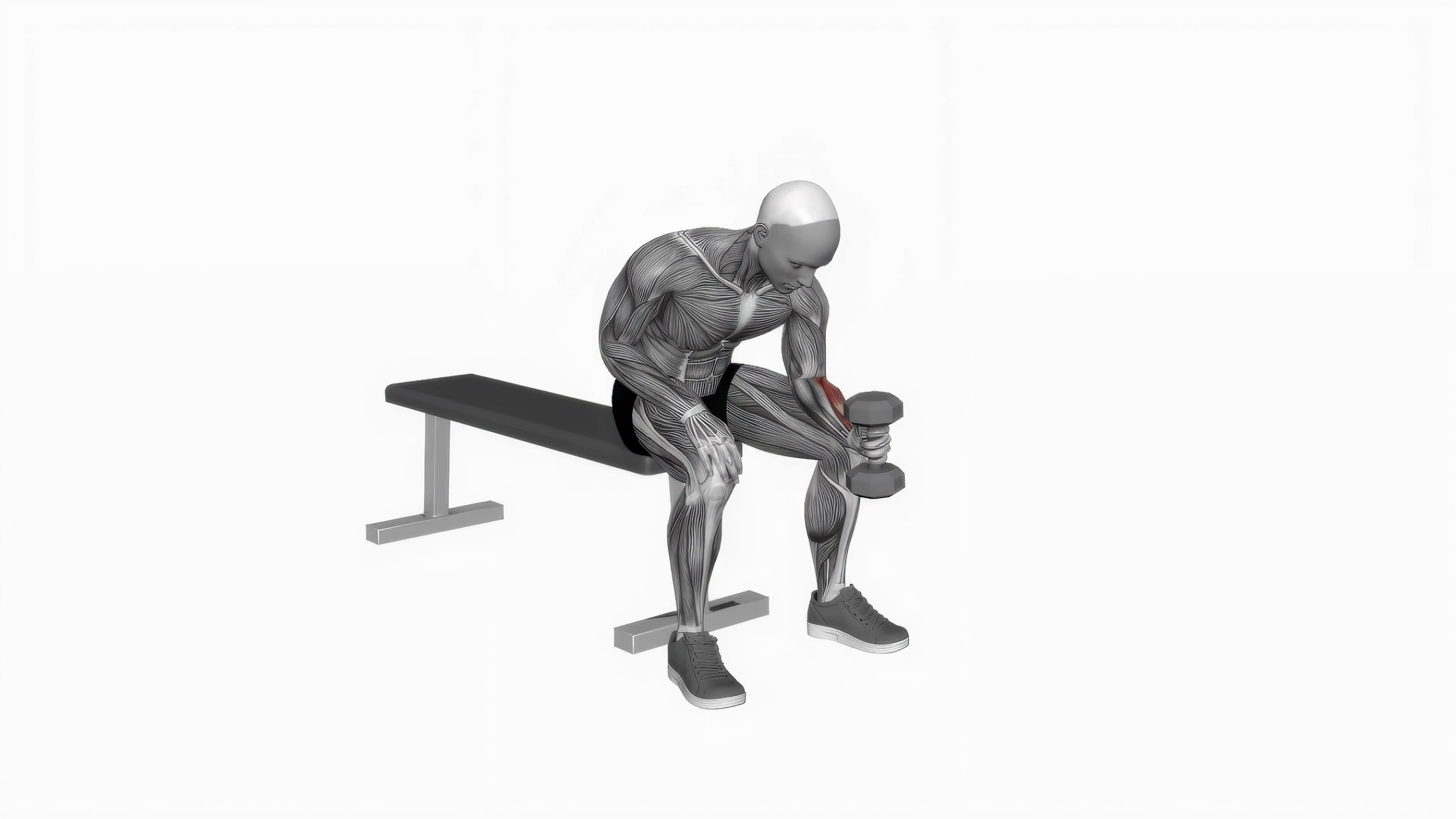 Dumbbell One Arm Seated Neutral Wrist Curl Fitness Exercise Workout