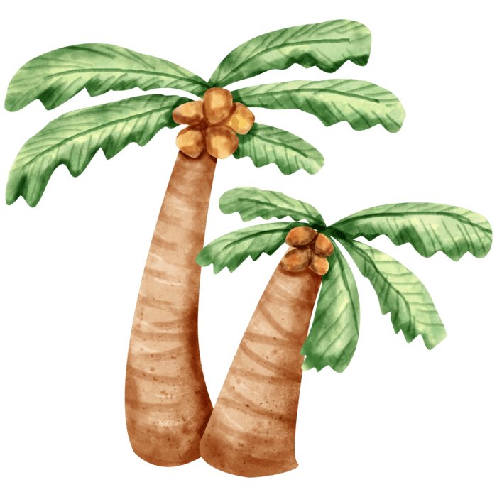 Coconut Tree PNGs for Free Download