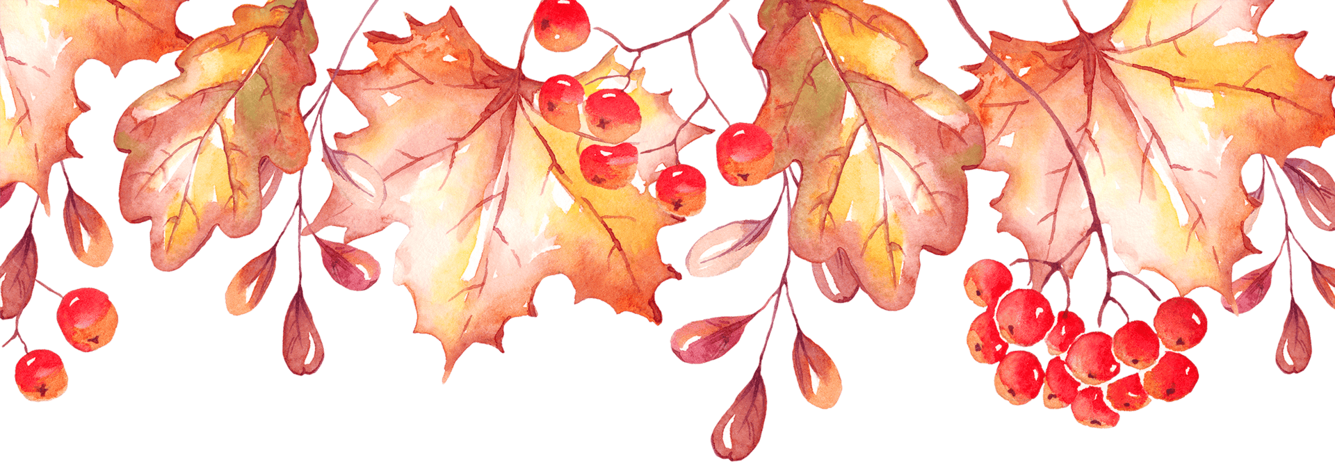 Fall Watercolor Leaves PNGs for Free Download
