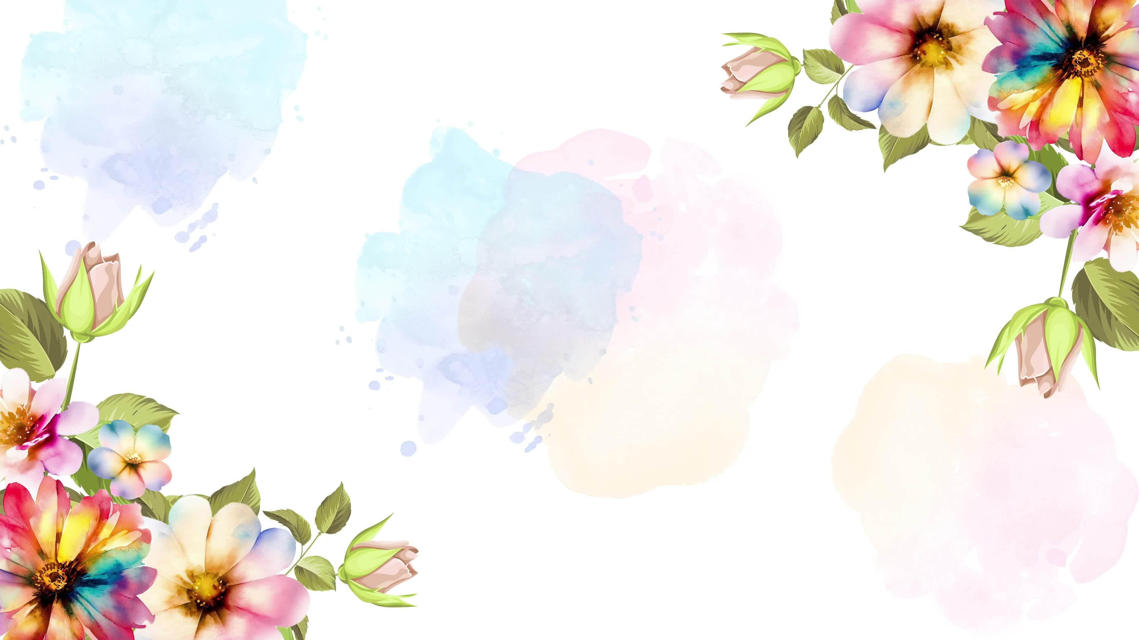 Beautiful Animated Flowers Best Flower Site