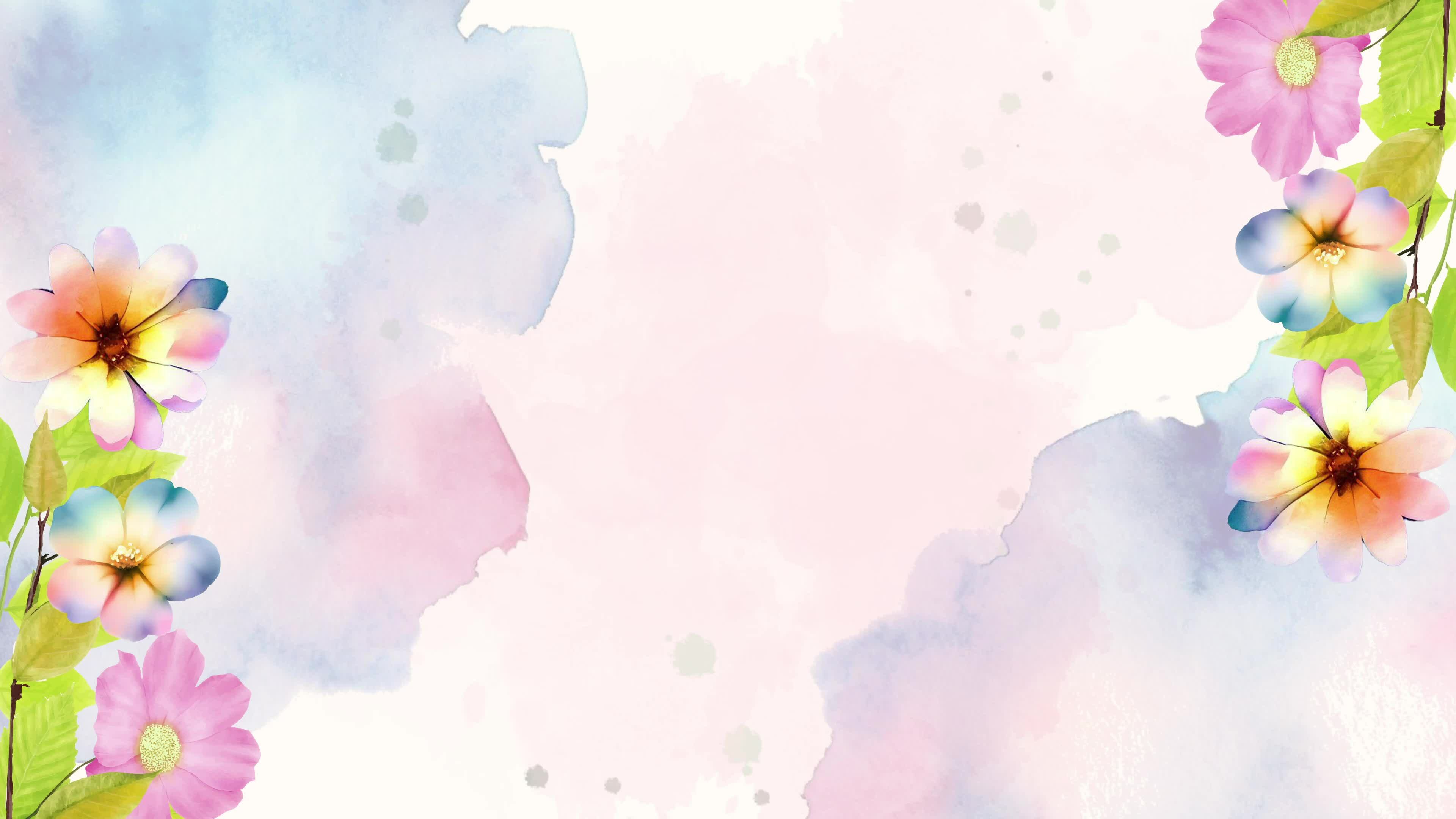 Watercolor beautiful floral bloom animation of colorful flowers banner. Animated 4K blooming ...