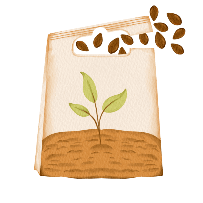 Seed Packet PNGs for Free Download