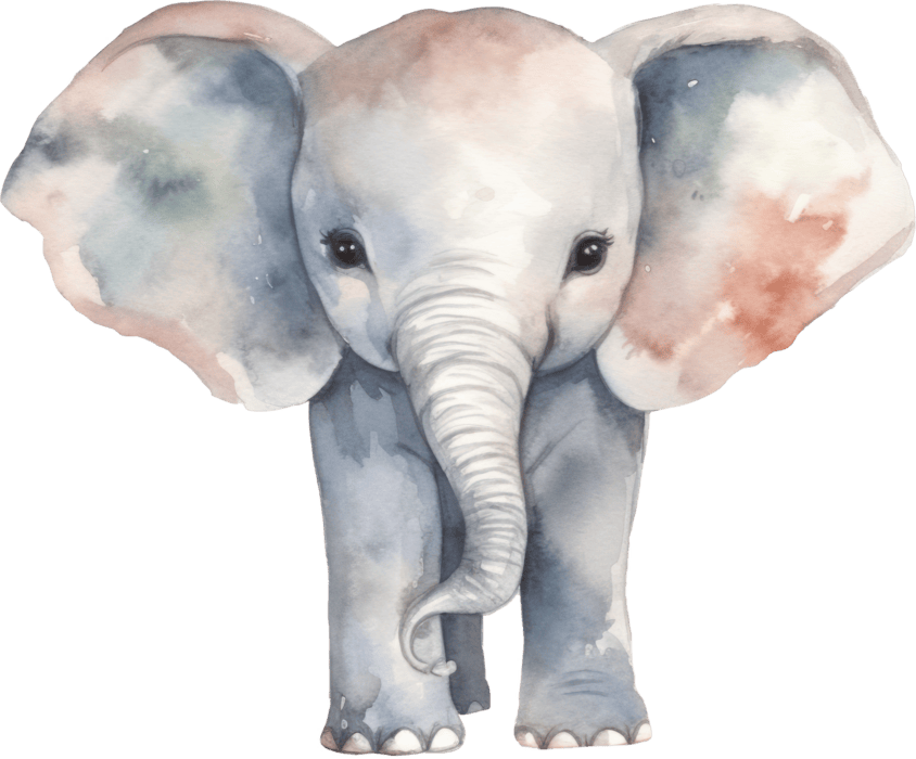 Watercolor Elephant PNGs for Free Download