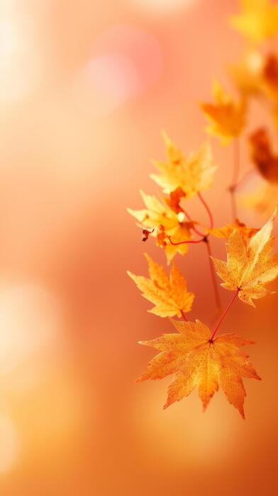 Background Autumn Stock Photos, Images and Backgrounds for Free Download