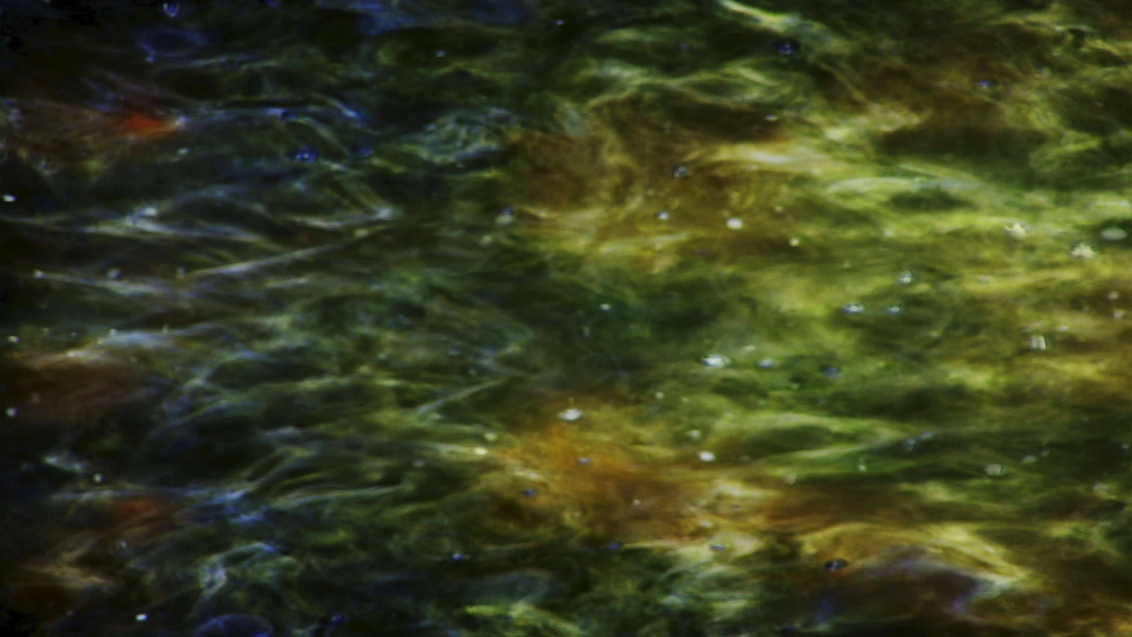 Light patterns dance on flowing water - Loop 23719288 Stock Video at ... Light patterns dance on flowing water - Loop 23719288 Stock Video at ...