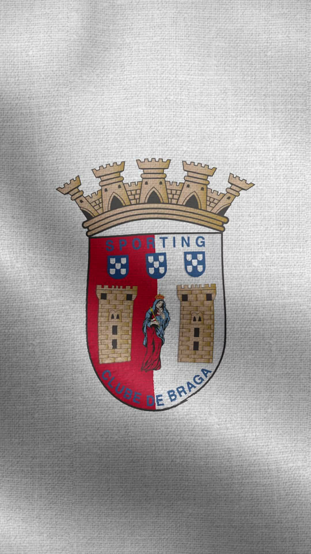 SC Braga Portugal White Vertical Logo Flag Loop Background HD 23722134 Stock Video at Vecteezy