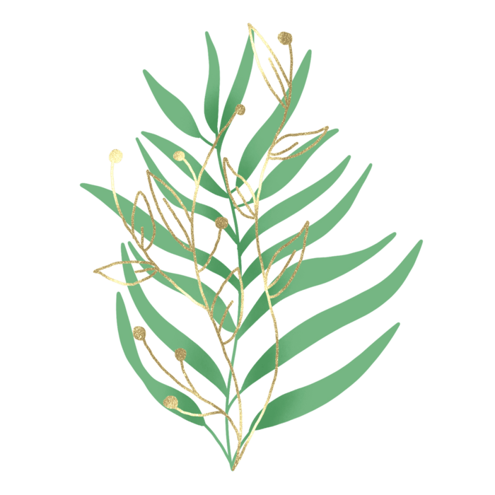 Eucalyptus Leaves Gold PNGs for Free Download