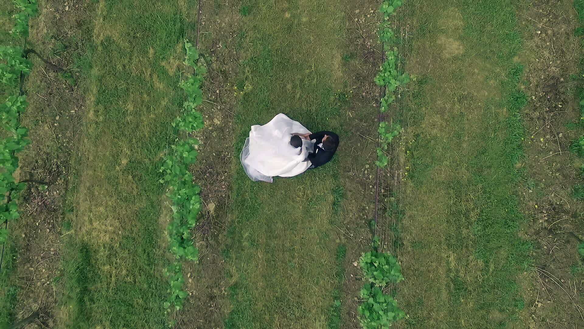 Wedding Drone Stock Video Footage for Free Download